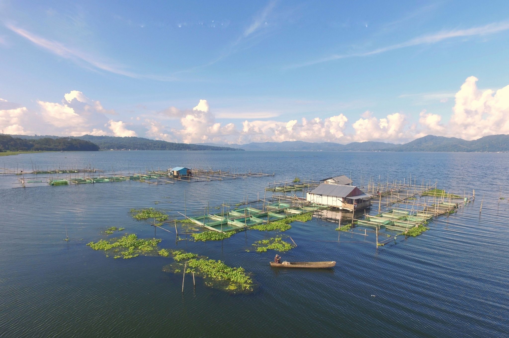 Budi Daya Ikan Mujair Menggunakan Karamba di Danau Tondano - GAWAI.CO